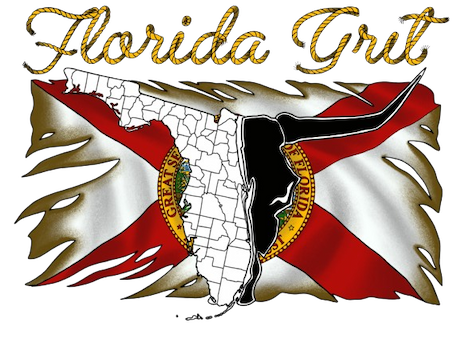 T-Shirt Florida Flag Logo on Back, Small Logo Front Left Chest | FL ...